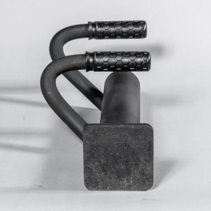 Wasp Ram – BTI